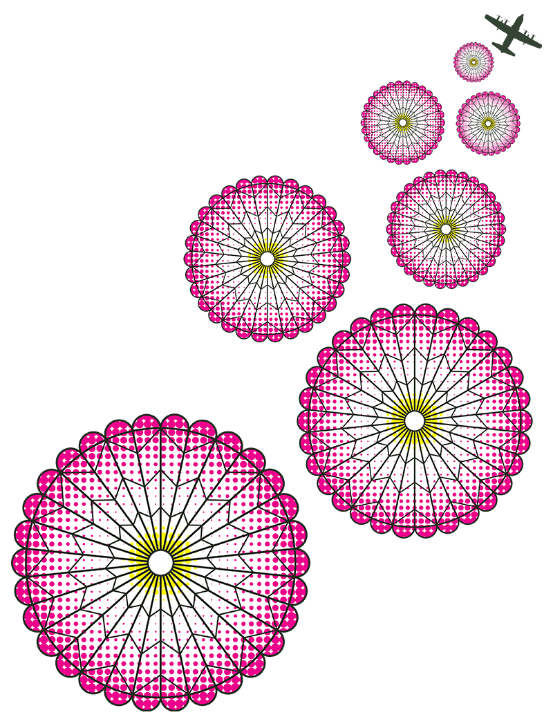 PARACHUTE FLOWERS | [HAS HEART]